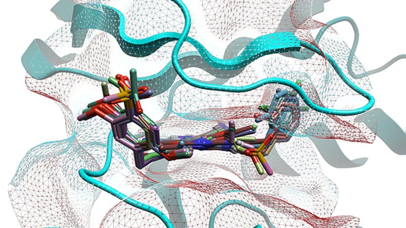 Validating AI protein structure prediction models using Free Energy ...
