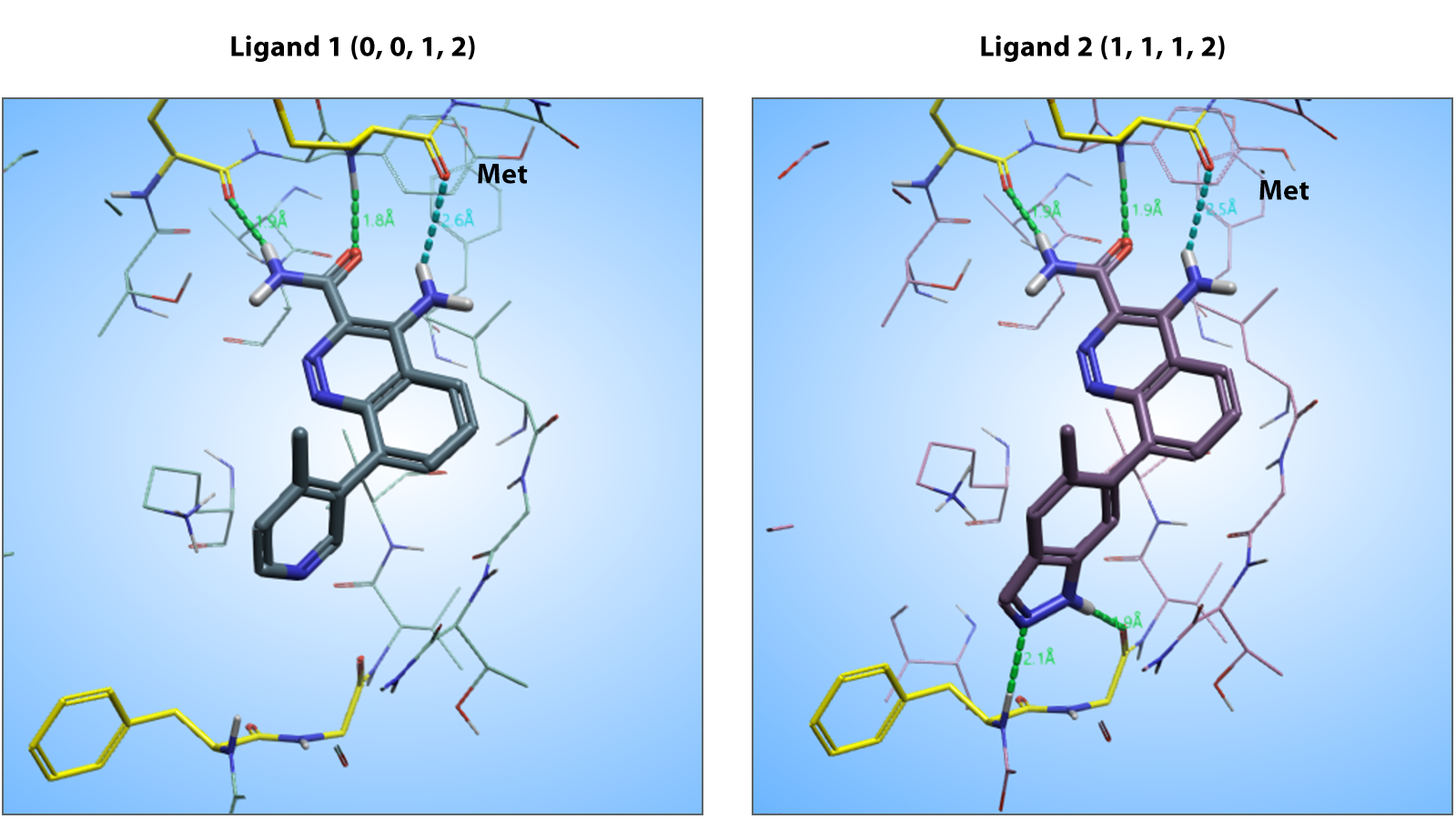 Using Protein Ligand Interaction Fingerprints To Cluster Your Molecular Data Cresset