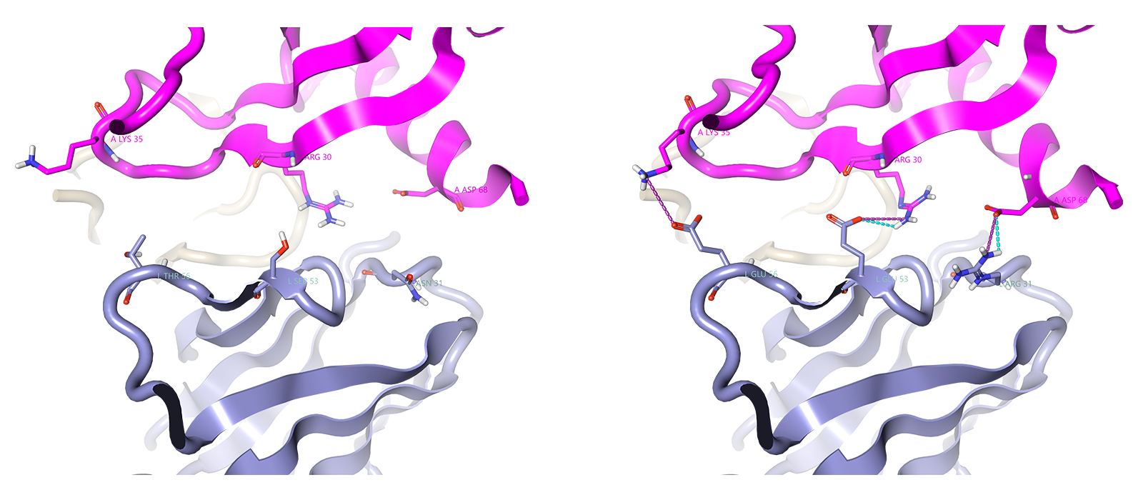 Engineering antibody-antigen interfaces to improve therapeutic ...